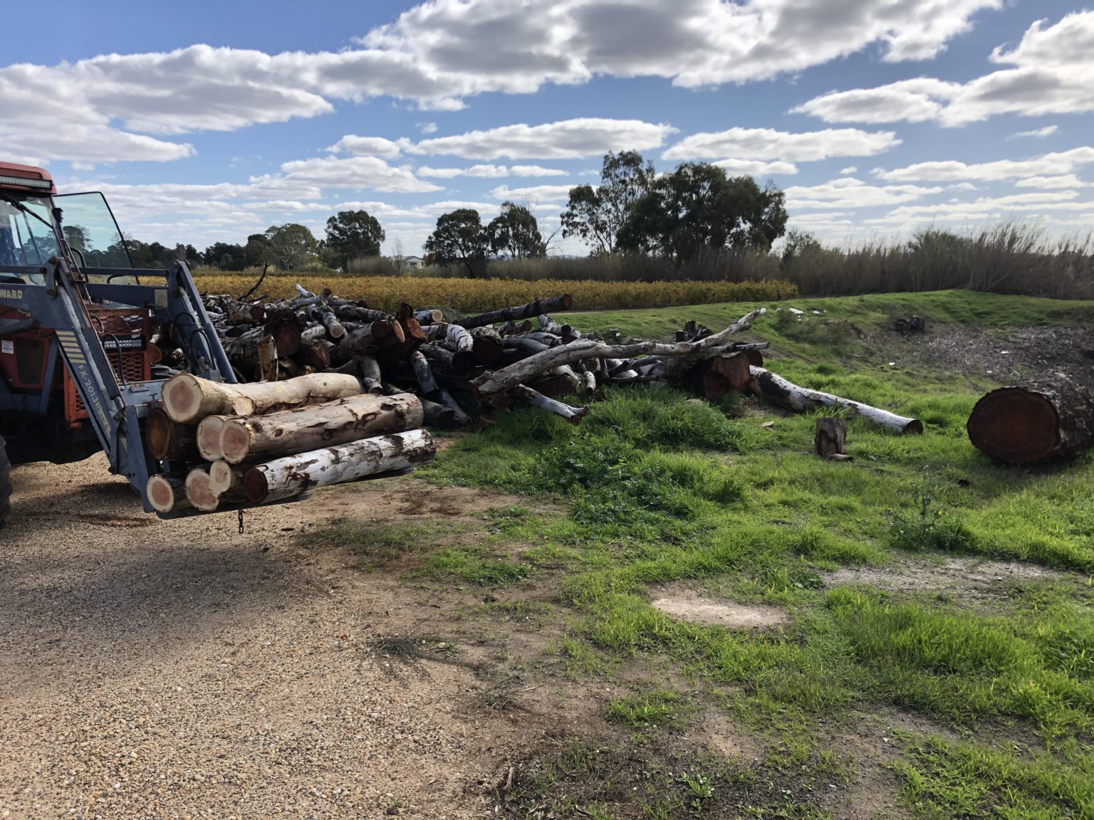 Old school Red Gum posts for the driveway - Rusden Wines